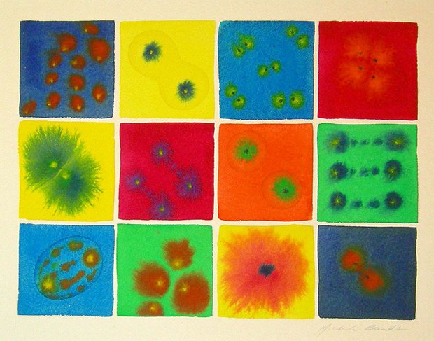 Michele Banks cria obras de arte que exploram a beleza da microbiologia, desde a divisão celular ...