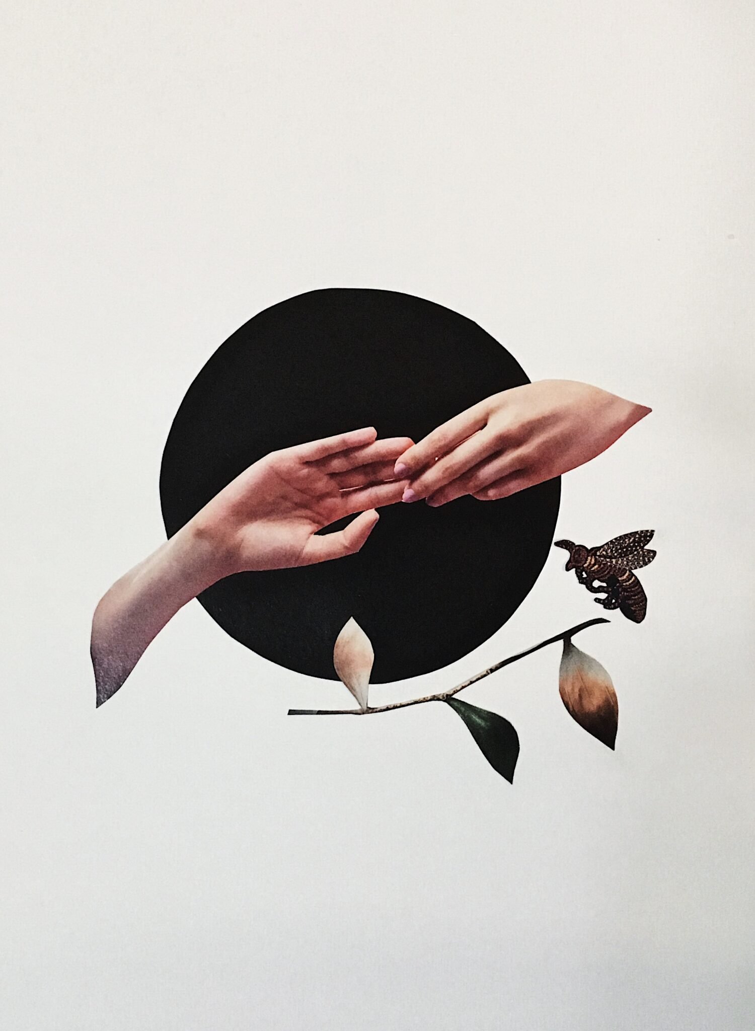 4 dicas simples para criar uma colagem manual - FTCMag